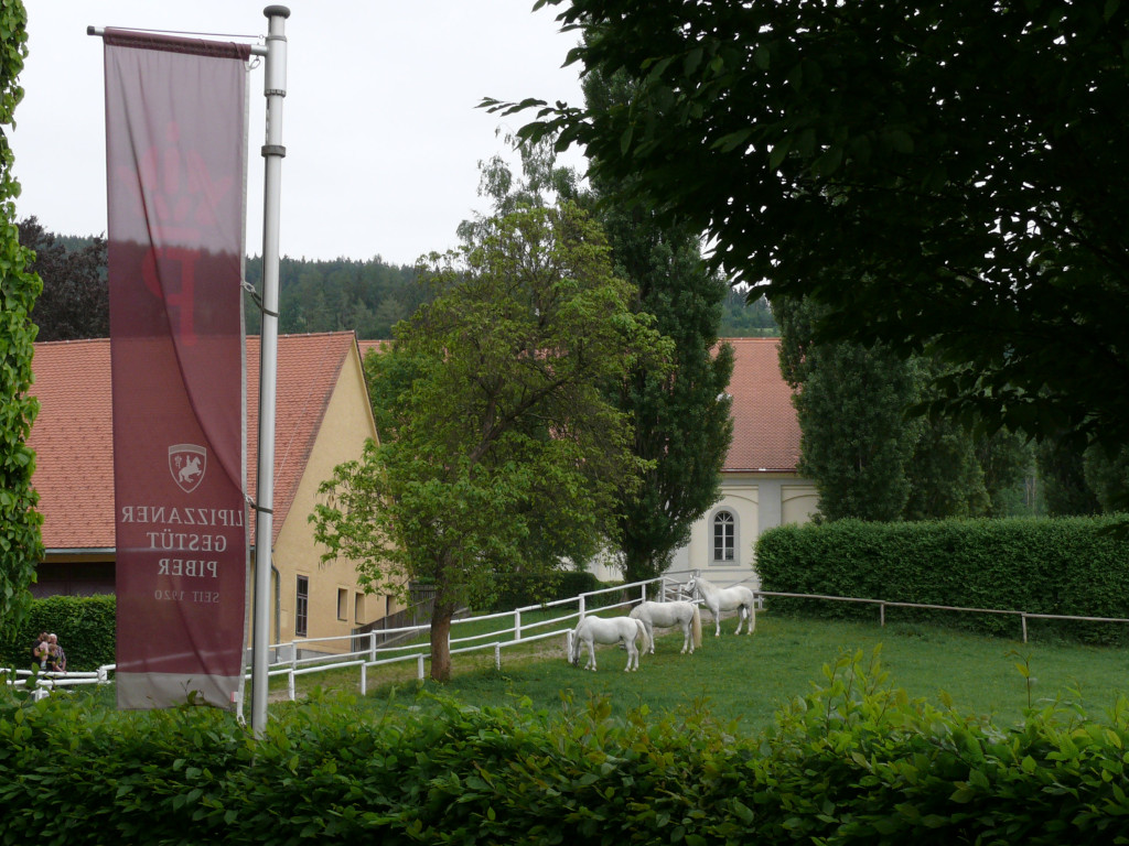 Philippe Bourdin > Fotos Piber 2022 / 2020